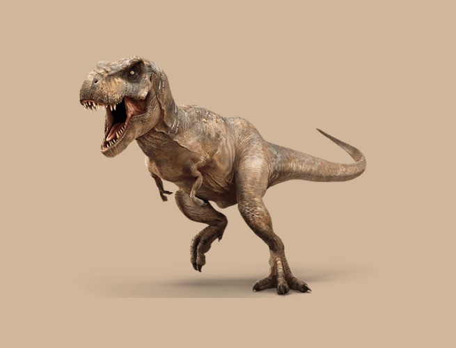 Tiranossauro Rex: como era o incrível rei dos dinossauros? - HiperCultura