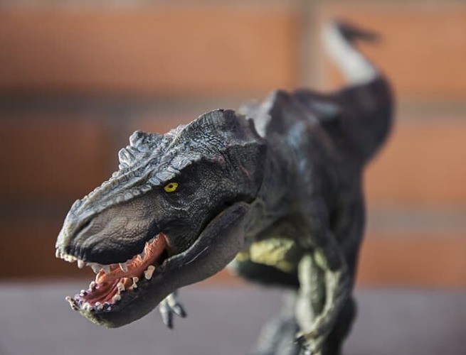 Tiranossauro Rex: como era o incrível rei dos dinossauros? - HiperCultura